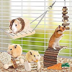 BBjinronjy Hamster Chew Toys Set Small Animal Molar Toys Teeth Care Wooden Accessories for Guinea Pigs,Chinchillas,Gerbils,Mice,Rats,Mouse Rodents Toy Swing Seesaw Bridge (Wood)