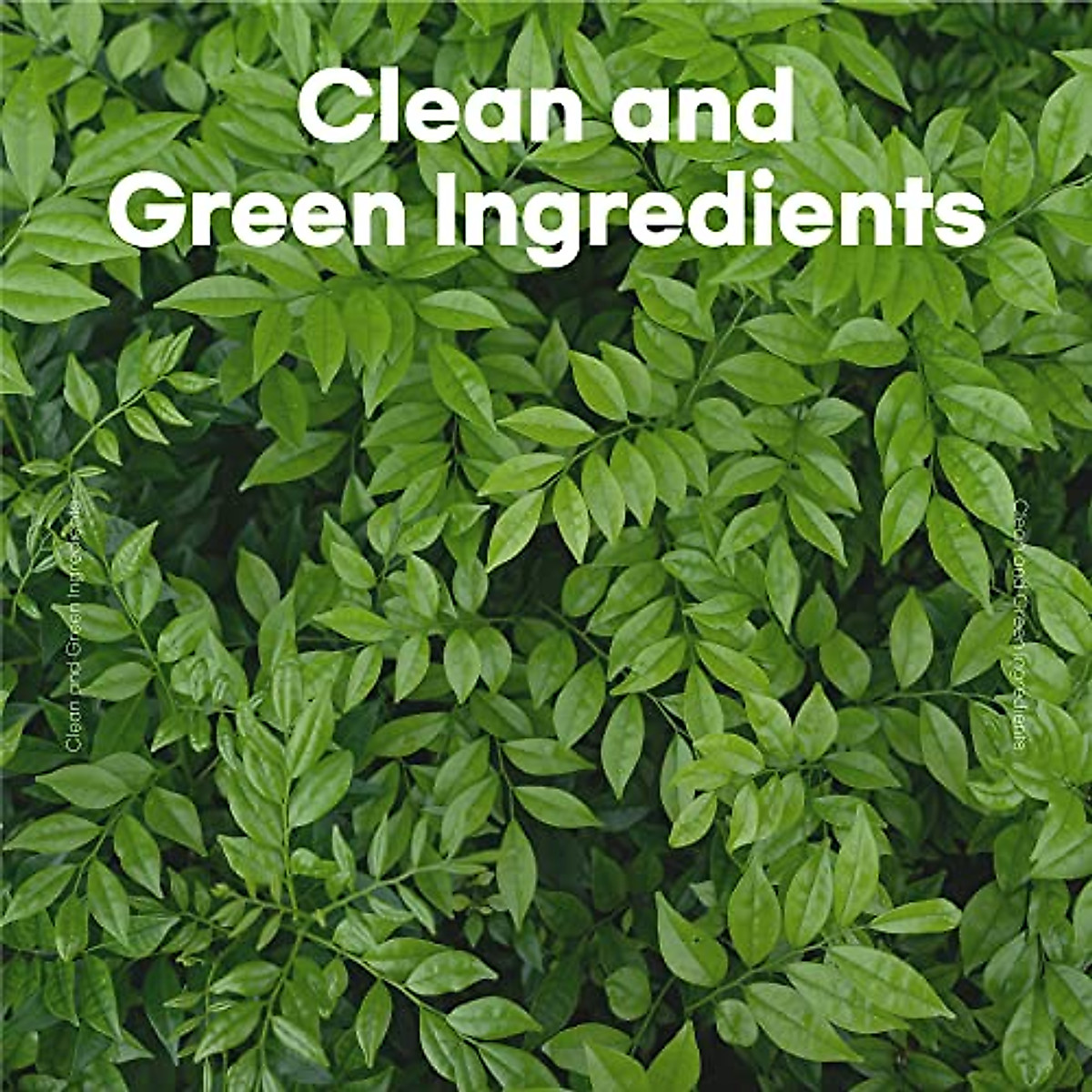 skybottle Hair & Body Mist, Lasting Fragrance with Peony Marigold Scent, Travel Size Perfume and Body Spray, Hygiene Essentials for Women, 3.4 Fl. Oz