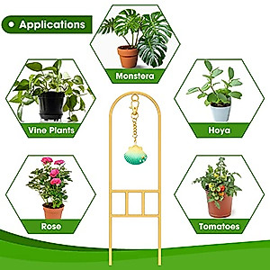 Mik-Nana Plant Trellis Indoor 2 Pack, Small Metal Trellis for Potted Plants, Mini Gold Trellis for Climbing Plants Indoor, House Plant Trellis for Garden Potted, Hoya, Flower, Vines, Monstera