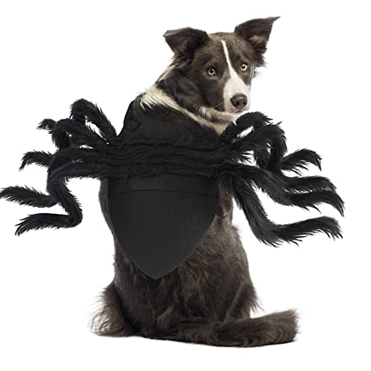 BWOGUE Halloween Pet Costume Spider Cosplay Apparel Dog Cat Spider Costume for Party Costume for Small Medium Dog Costume,Large