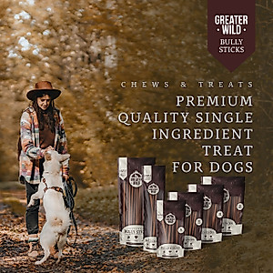 GREATER WILD 12 Inch Bully Sticks Dog Treats, 12 Pack, Standard Thickness - Single Ingredient 100% All Natural Beef, Long Lasting Dog Chews