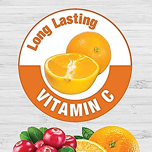 Kaytee Baked Wellness Snacks with Vitamin C Cranberry and Orange