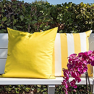 Homey COZY 7H5240-June Accent Pillow, 2 Pack, Yellow 2 Count