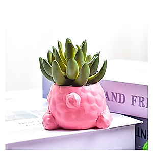 Cute Poodle Puppy Flower Pot with Drainer Garden Flower Pot Resin Succulent Potted Bonsai Plant Stand Home Desk Mini Ornaments Balcony Gardening Flower Pot Does Not Contain Plants