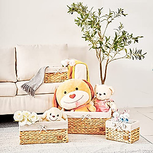 QH & Garden Hand-Woven Water Hyacinth Storage Baskets,Decorative Rectangular Wicker Basket with Detachable Liner,Natural Seagrass Woven Organizer Baskets for Shelves (set of 4)