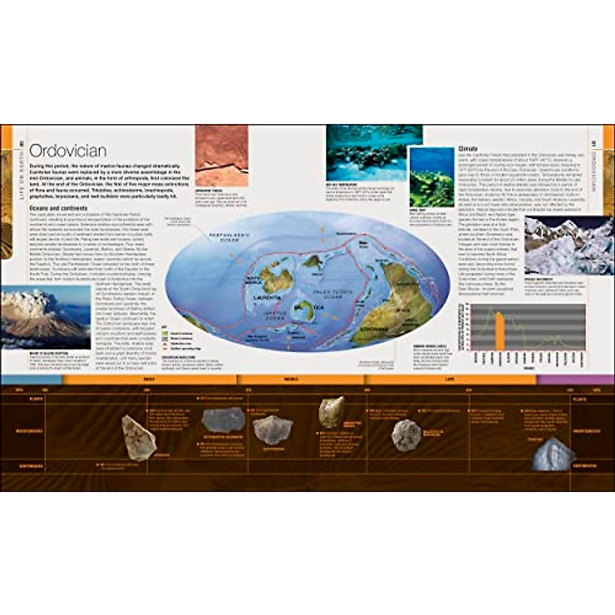 Dinosaurs and Prehistoric Life: The Definitive Visual Guide to Prehistoric Animals (DK Definitive Visual Encyclopedias)