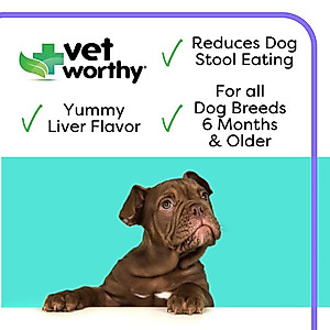 Vet Worthy Stop Stool Ingestion - Daily Supplement for Dogs to Prevent Stool Eating - Dog Supplement with Yucca Schidigera, Parsley Leaf, Chamomile, Thiamine - Liver Flavor, 60 Chewable Tablets
