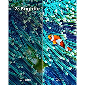 NEBULA Cosmos Laser 4K Projector with Nebula 100-Inch Projector Screen for Home, Office, and Classroom