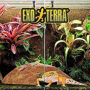 Exo Terra Reptile Cave, Medium