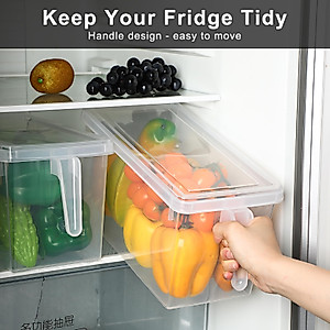 Quzzil 8 Pcs Fridge Organizer Refrigerator Organizer Bins with Lids and Handle Clear Fruit Storage Containers for Fridge Vegetable, Egg, Meat (Divided and Normal Style)