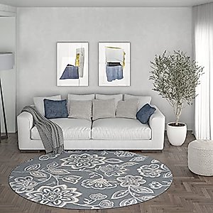 Emmalyn Transitional Floral Gray Round Area Rug, 8' Round