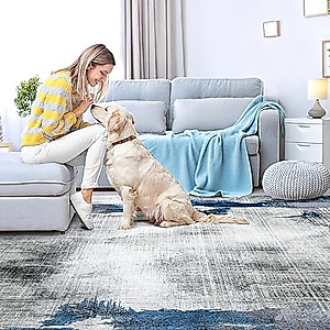 OIGAE Washable Rug 5x7, Abstract Modern Area Rugs with Non-Slip Backing Non-Shedding Floor Mat Throw Carpet for Living Room Bedroom Kitchen Laundry Home Office, White/Blue