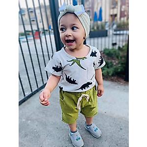 2T Boys Clothes Toddler Boys Summer Outfits Dinosaur T-Shirt & Shorts Set 2 Piece，Green Dino 2-3T/90cm