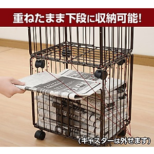 Yamazen RSR-2C (DBR) Newspaper Stocker, 2 Tiers, Dark Brown