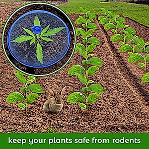 Metal Food Tent Mesh Food Covers Outdoor Food Covers Round Food Nets for Outdoors Reusable Fruit Cover Against Fruit Flies for Table Picnic Camping (8 Pcs)