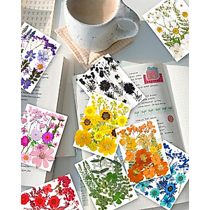 OECOO 285PCS Small Dried Pressed Butterfly Sticker Flower for Resin,Real Nature Pressing Floral Leaves for DIY Craft, Mold, Jewelry Making, Candle Scrapbooking Supplies