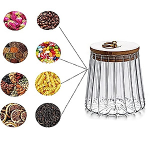 HongDream Glass Jars Canister Airtight Storage Container with Lid Metal Handle Small Glass Food Jars and Canisters Sets for Coffee Tea Spice 2 Pcs