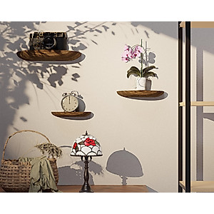 QsQueen Solid Wood Half Round Floating Wall Shelves | Elegant Floating Shelves, Elevate Your Space. Perfect for Living Rooms, Bathrooms, Bedrooms, Offices, Children's Rooms