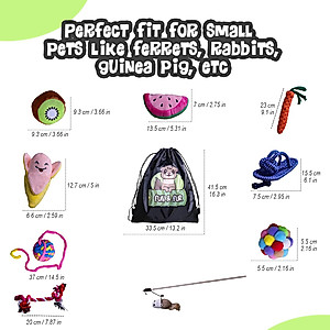 Ferret Toys 9 Pack & Ferret cage Accessories and Travel Pouch - Ferret Accessories, Ferret Tunnel, Ferret Ball - Ferret Bed, Ferret Stuff - Ferret Gifts for Ferret Lovers - Ferret chew Toys & Squeaky