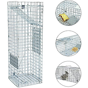 Jahy2Tech Live Animal Trap Cage 24"X8"X 7.5" Cat Trap Cage Foldable Steel Humane Catch and Release for Rabbit, Groundhog, Squirrel, Raccoon, Mole, Gopher, Cat