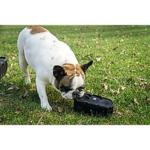 Altec Lansing IMW578L LifeJacket 3, Up to 30 Hours of Battery Life, IP67 Everything Rating: Waterproof, Dirtproof, Snowproof and it Floats! | Royal Blue (IMW578L-RYB)