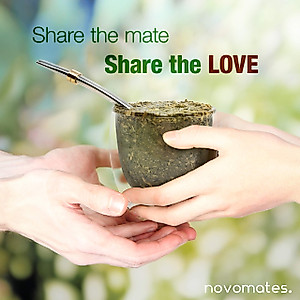 Novomates Yerba Mate Kit - Double Wall Glass Yerba Mate Cup with Stanley Steel Bombilla Mate - Yerba Mate Cup and Bombilla Set - Yerba Mate Gourd - Bombilla Mate and Mate Tea Cup - 8.4oz (250 ml)