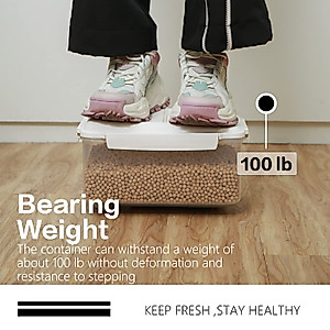 LivLab Rice Container - 10lbs Flour Dispenser with Lids & Cup BPA Free Kitchen Extra Large Storage Containers Cat/Dog Food Storage Container (10lbs)