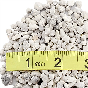Horticultural Bonsai Pumice Soil Additive (4 Quarts), 7LB Ideal Substrate for Bonsai Trees, Cactus and Succulents
