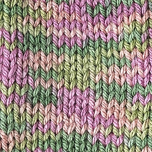 Caron Simply Soft Bulk Buy Paints 100% Acrylic Yarn (2-Pack) ~ 5 oz. Skeins (Rose Garden)