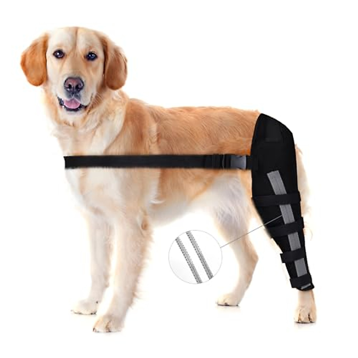 NATUYA Dog Knee Brace for Torn ACL Hind Leg, CCL, Luxating Patella, Dog Leg Braces with Side Stabilizers - Better Recovery and Prevent Licking, Relieves Joint Pain (Black, M)