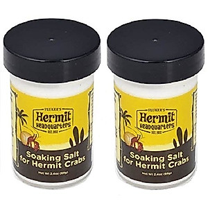 HERMIT HEADQUARTERS HERMIT CRAB SOAKING SALT
