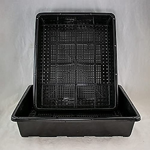 Calibonsai 2 x Black Plastic Tray for Propagation, Bonsai Forest/Group Planting 15"x 12"x 3"