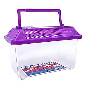 YML CC101 Condo Critter Keeper,Assorted Color, 7 x 4 x 5 inches