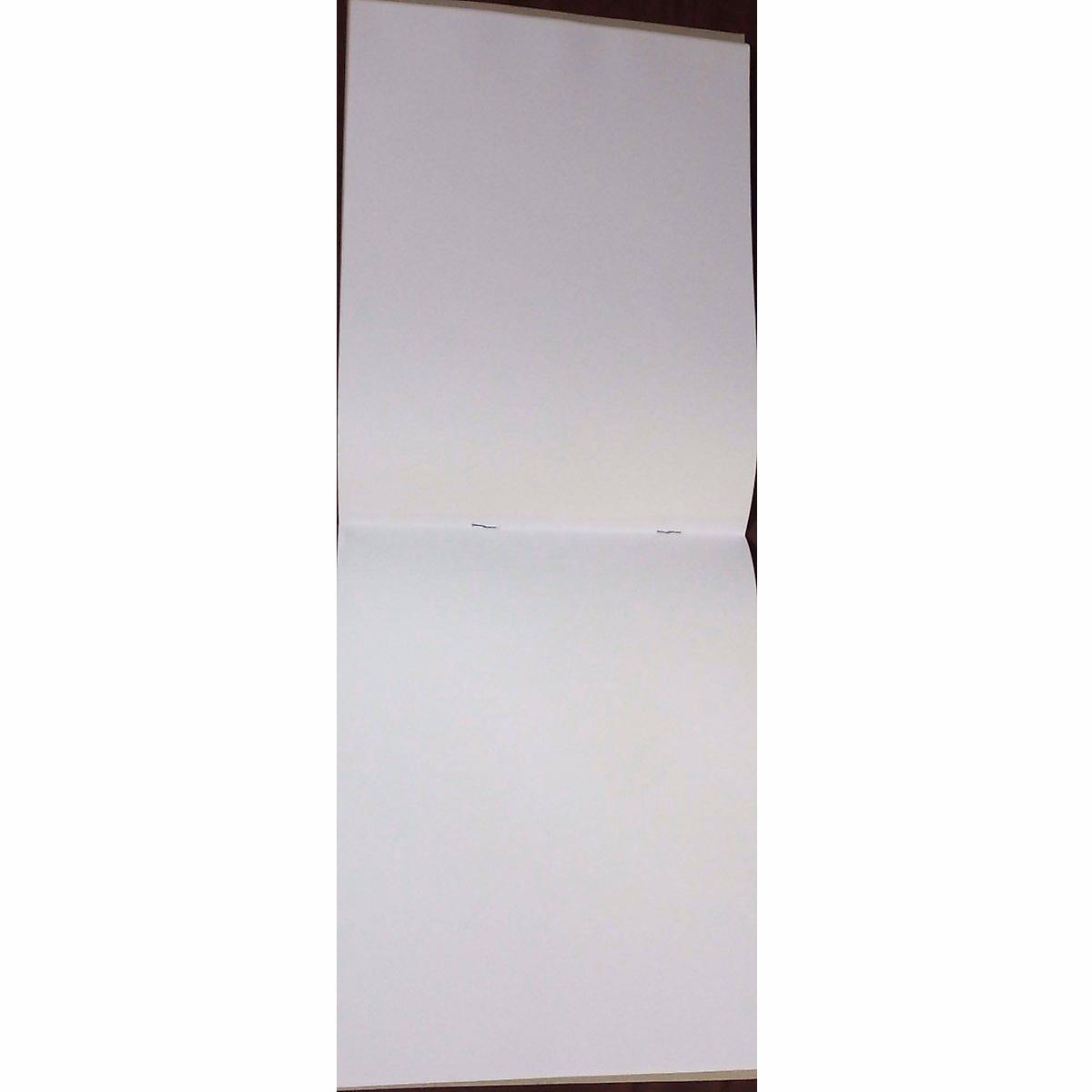 Blank Drawing Book: 150 Pages, 8.5" x 11" Large Sketchbook Journal White Paper (Blank Drawing Books)