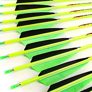 600 Spine Flecha 30 Pulgadas Flecha Flechas Carbono Flechas Puntería Flecha de Caza Arco Compuesto Arco Recorvar Adulto Juventud Tiro con Arco Objetivo Práctica Entrenamiento 6pcs