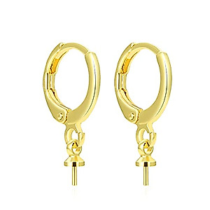 20pcs Adabele Hypoallergenic Tarnish Resistant 14mm (0.55 Inch) Gold Round Leverback Huggies Earring Hooks with 3mm Secure Screw Eye Peg Bail BF265