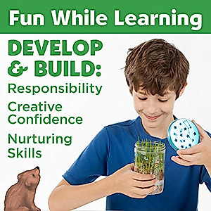 Creativity for Kids Grow 'N Glow Terrarium Kit for Kids - Educational Science Kits Ages 6-8+, Kids Gifts for Boys and Girls, Craft and STEM Projects