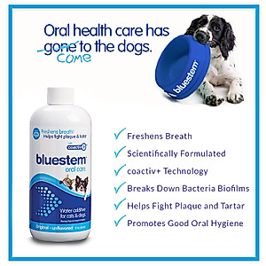 Pet Water Additive Oral Care: for Dogs & Cats Bad Breath, Dental Rinse Freshener Treats Plaque & Teeth Tartar. Dog & Cat Mouth Clean Health Treatment for Pets Drinking Bowl (Vanilla Mint (Dogs Only))