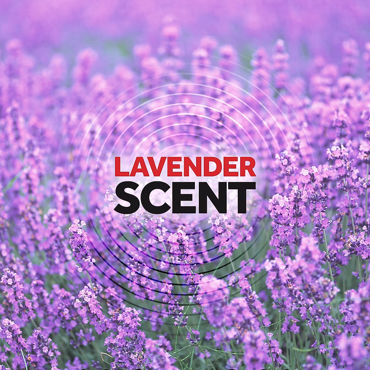 Raid Ant & Roach Killer Spray For Listed Bugs, Keeps Killing for Weeks, Lavender Scent, 17.5 oz