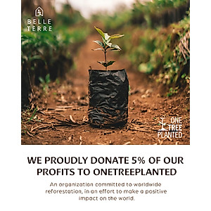 BELLE TERRE Premium Glass Jar Set - 5 Canisters with Airtight Natural Acacia Lids, Custom Labels & Spoons - Food Storage Containers & Pantry Organization - 17oz, 34oz, 68oz - Transparent, Durable