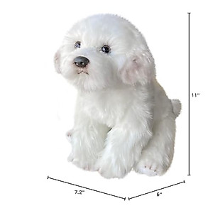 Maltese Stuffed Animal, Realistic Dog Plush, Lifelike Stuffed Animal,Companion Pet, Fluffy Stuffed Puppy Dog Toys for Gift (Large)