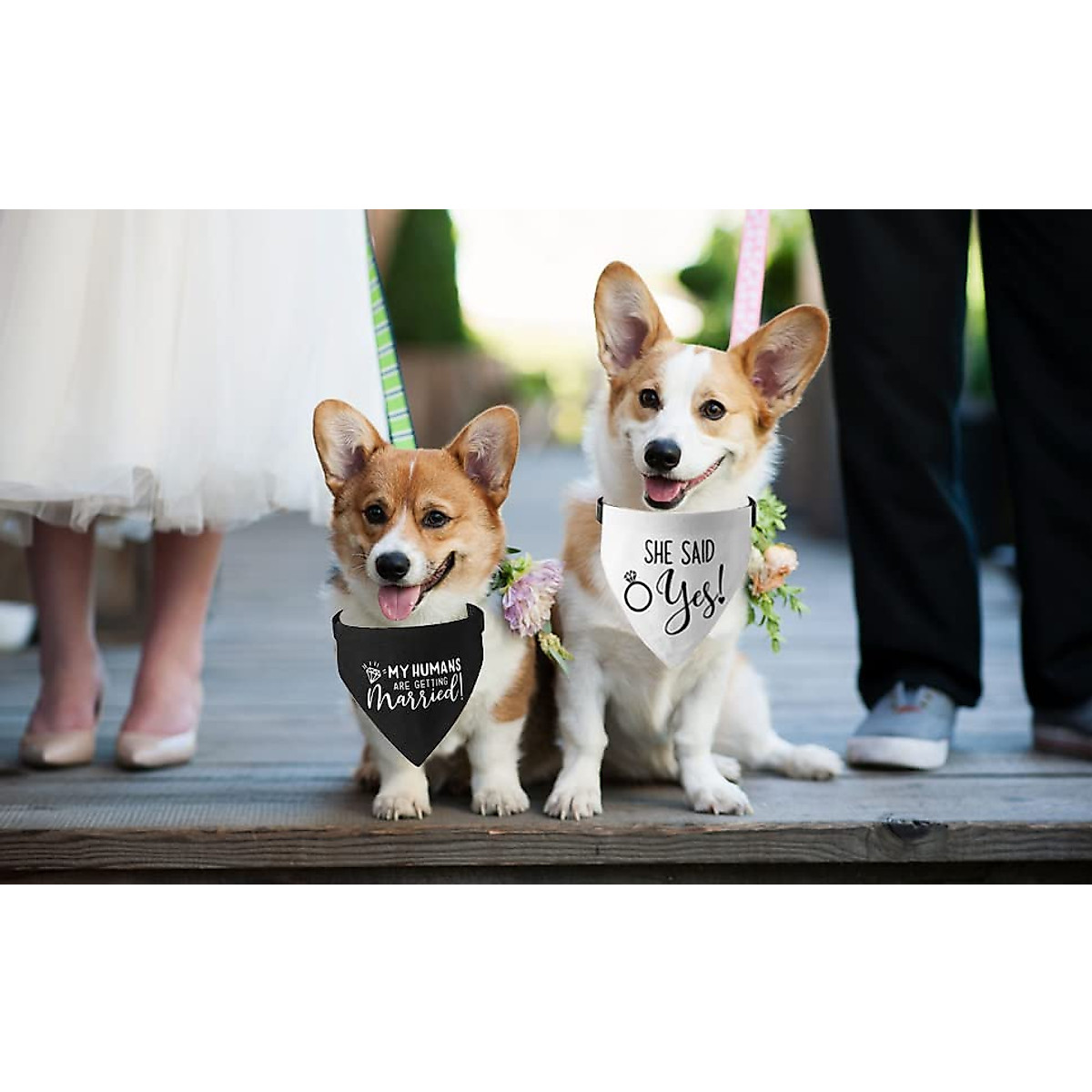 Engagement Gift, My Humans are Getting Married Dog Bandana Collar, Wedding Photo Prop, Pet Scarf, Dog Engagement Announcement, Pet Accessories (Medium, Black+White)