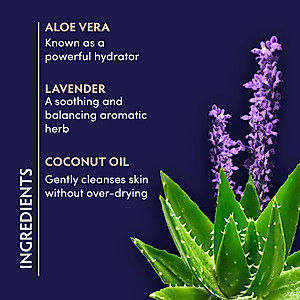 Naturopathica Aloe Vera Cleansing Gel, Facial Cleanser with Aloe Vera and Lavender, Clarifying Face Wash for Men and Women, 5 fl oz