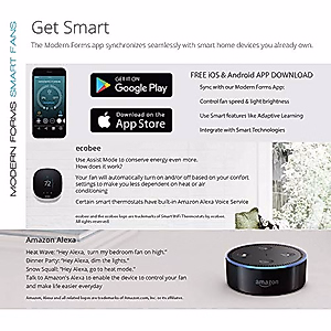 Vortex Smart Indoor and Outdoor 3-Blade Ceiling Fan 60in Automotive Silver with Remote Control works with Alexa, Google Assistant, Samsung Things, and iOS or Android App