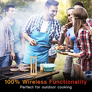 Smart Wireless Meat Thermometer Digital Bluetooth Food Meat Probe for Cooking Assisted Oven, Grill, Kitchen, BBQ, Smoker, Rotisserie (2 Probes)