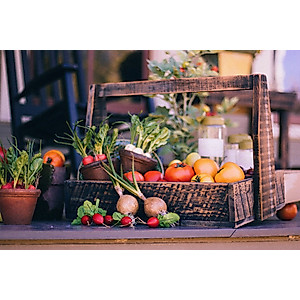 Black Duck Brand 50 Packs Assorted Heirloom Vegetable Seeds 20+ Varieties All Seeds are Heirloom, 100% Non-GMO