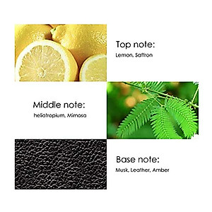 Men Cologne Perfume, French Men Fragrance Long-Lasting Eau de Toilette Birthday Gift for Business Date and Dinner 80ML(YT1761 Black)