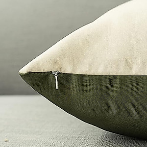 Tritard Outdoor Pillow Covers Set of 2 Waterproof Fabric Green Botanical Plant Leaves Throw Pillow Covers Leaf Pillowcases for Patio Furniture Living Room, 20x20