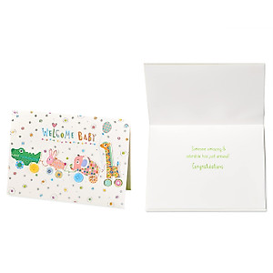 Papyrus New Baby Cards, Critters and Bottles (2-Count)