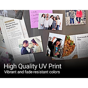 Nascar #24 William Byron Raptor 4.75 x 2-Inch Fridge Magnet